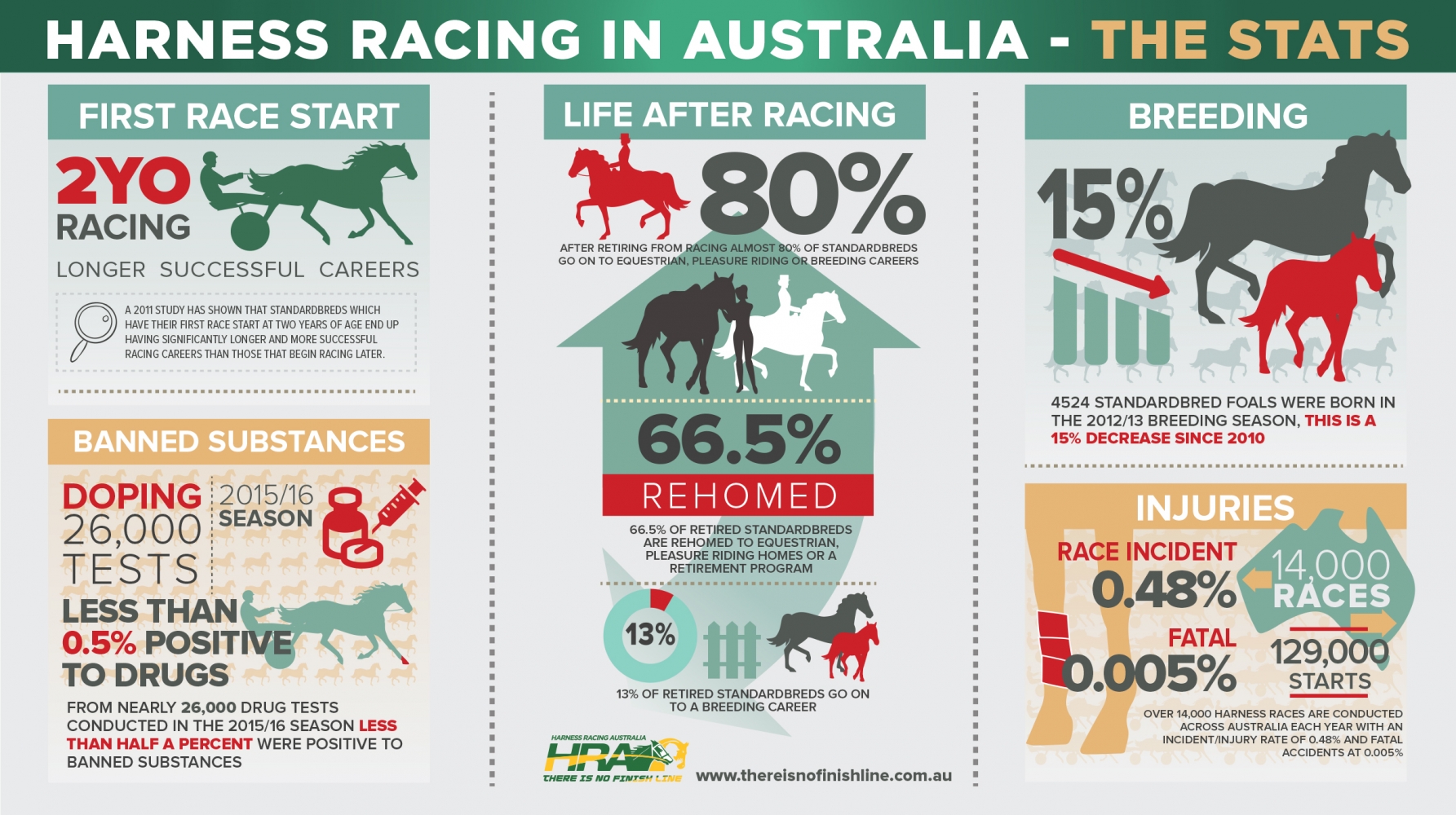 Equine Welfare - Infographic