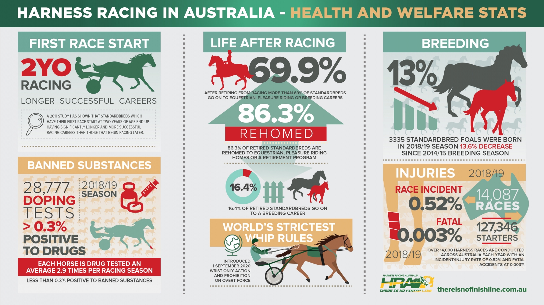 Equine Welfare - Infographic